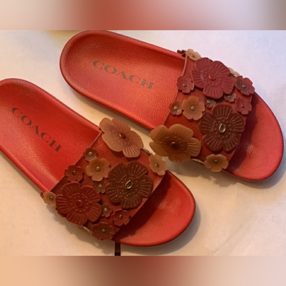 Coach | Shoes | Coach Sofia Tea Rose Flowers Floral Slides Size B ...